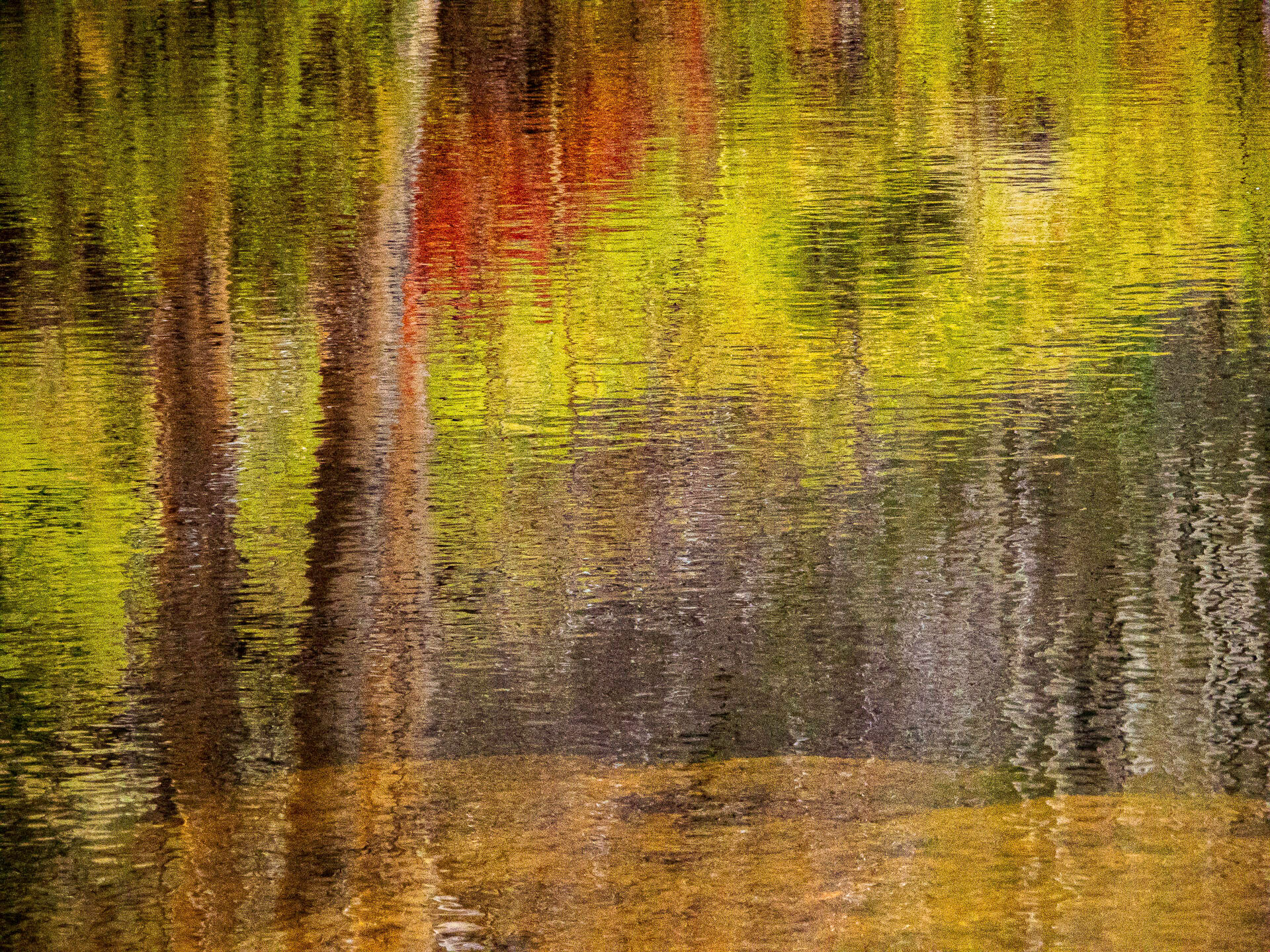 Monet Visits Colorado | Lower Cataract Lake | Robert Anderson Gallery